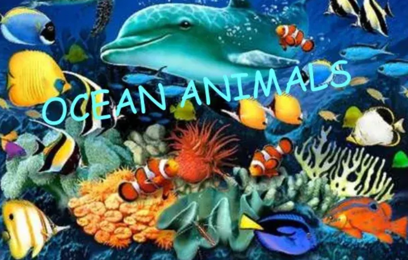 SEA LAB SCIENCE FRIDAY: OCEAN ANIMAL BIOLOGY