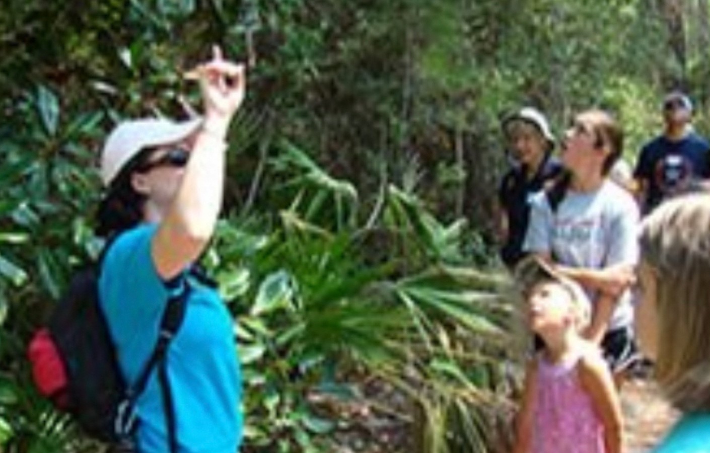 BEACH, DUNE AND MARITIME FOREST EXCURSION