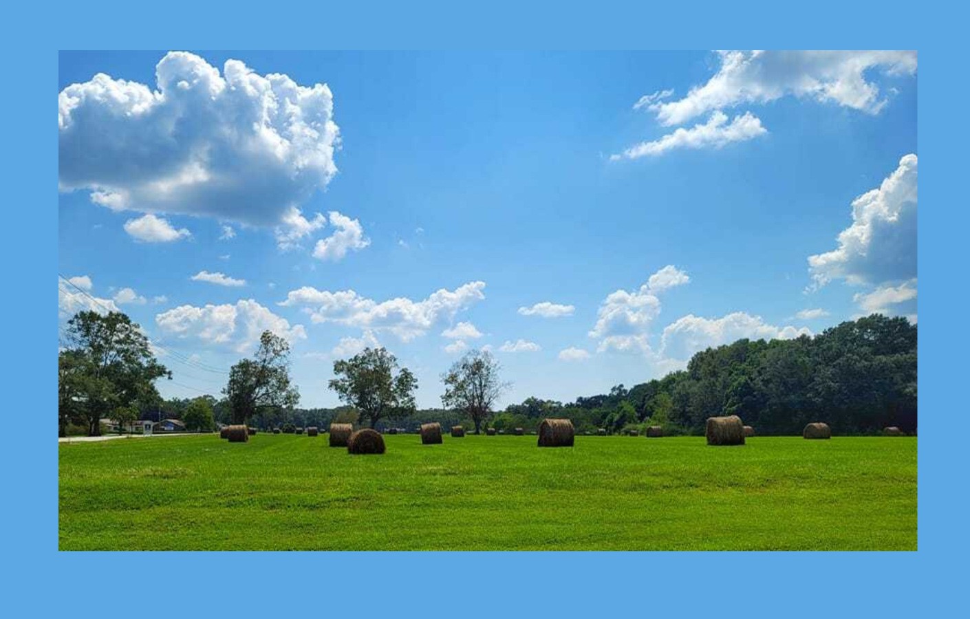 THEODORE VENDOR MARKET