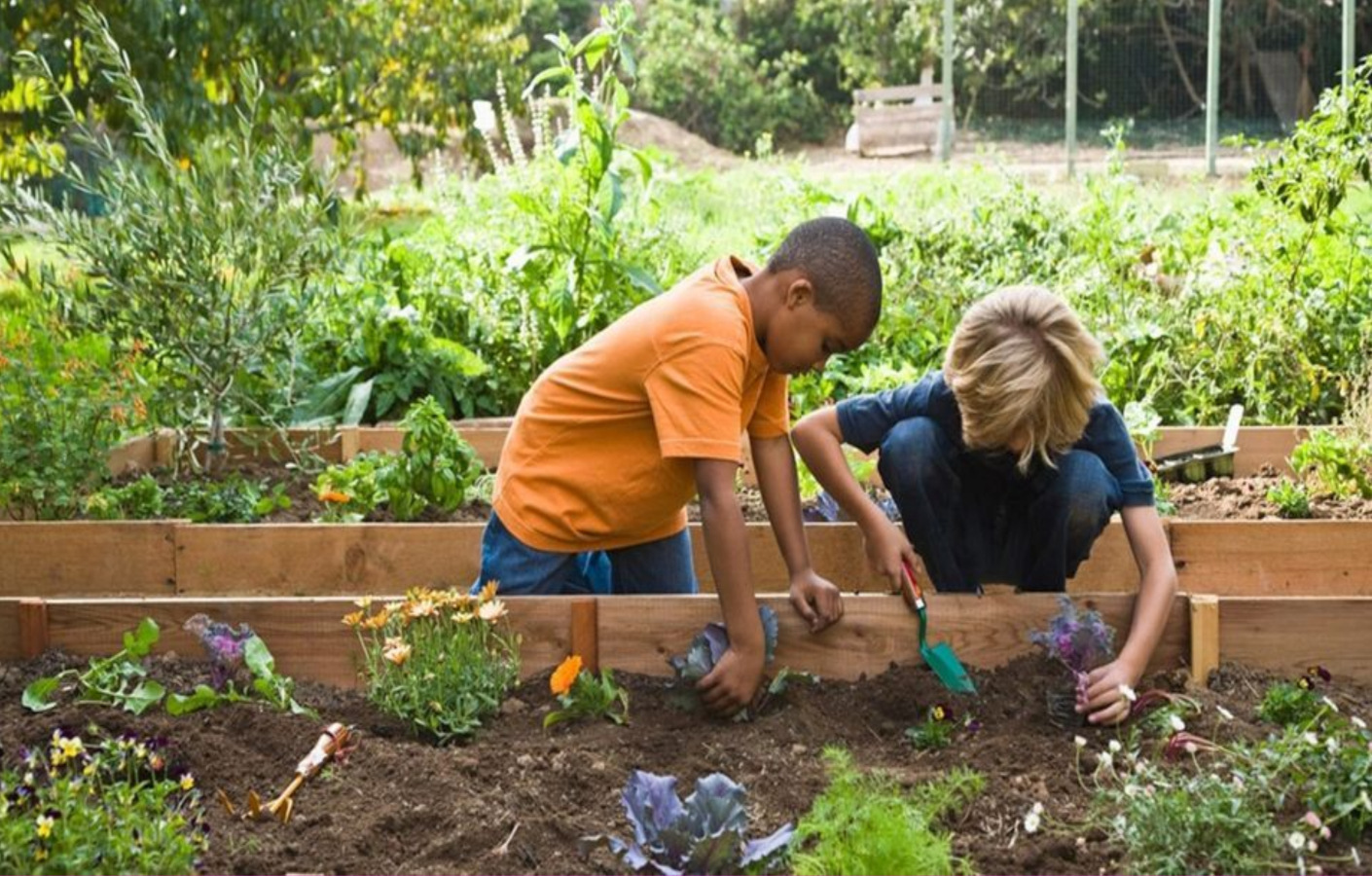 VEGGIE KIDS FALL EDITION FOR AGES 8 THROUGH 12