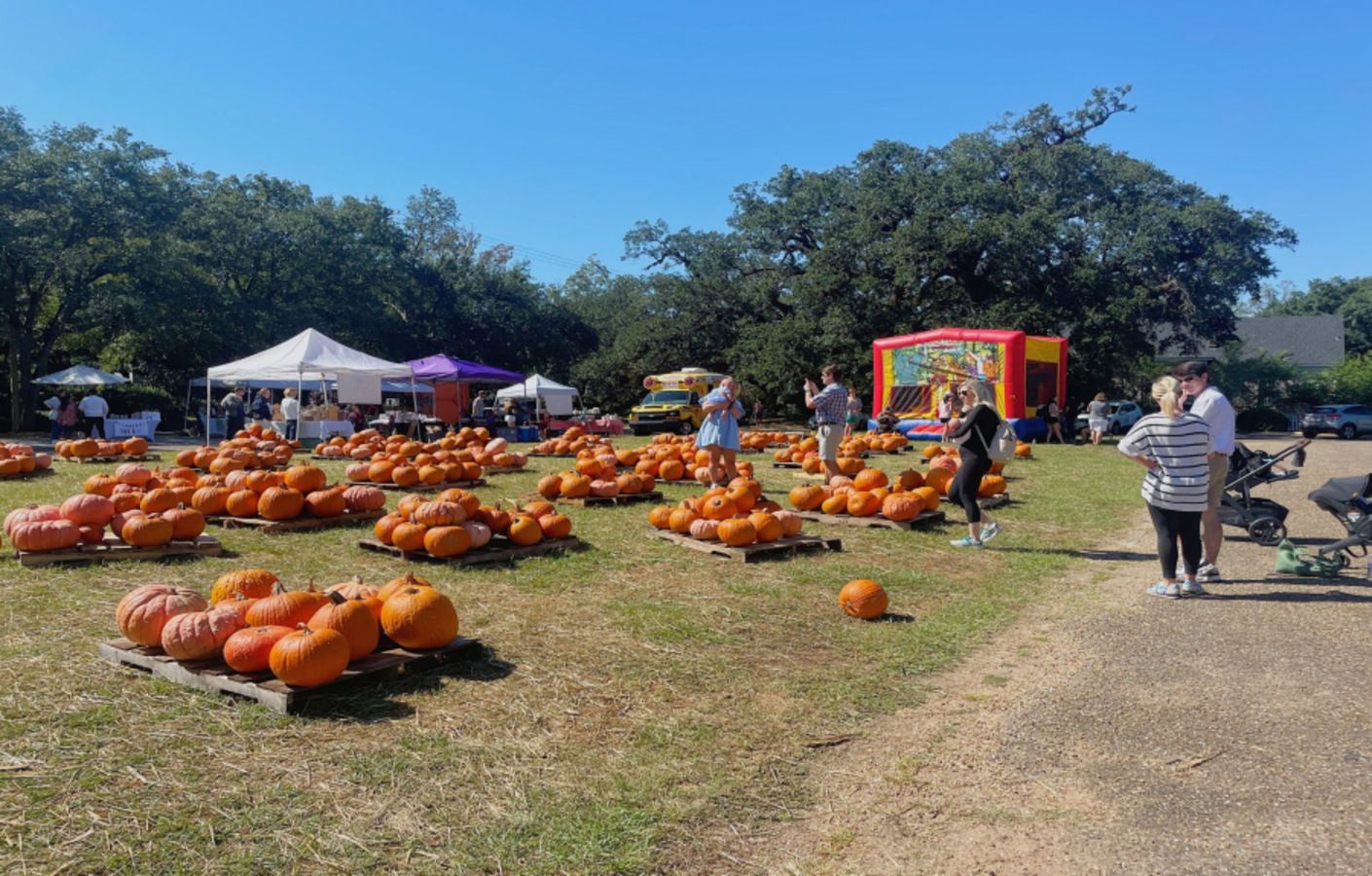 MARKET IN THE PATCH