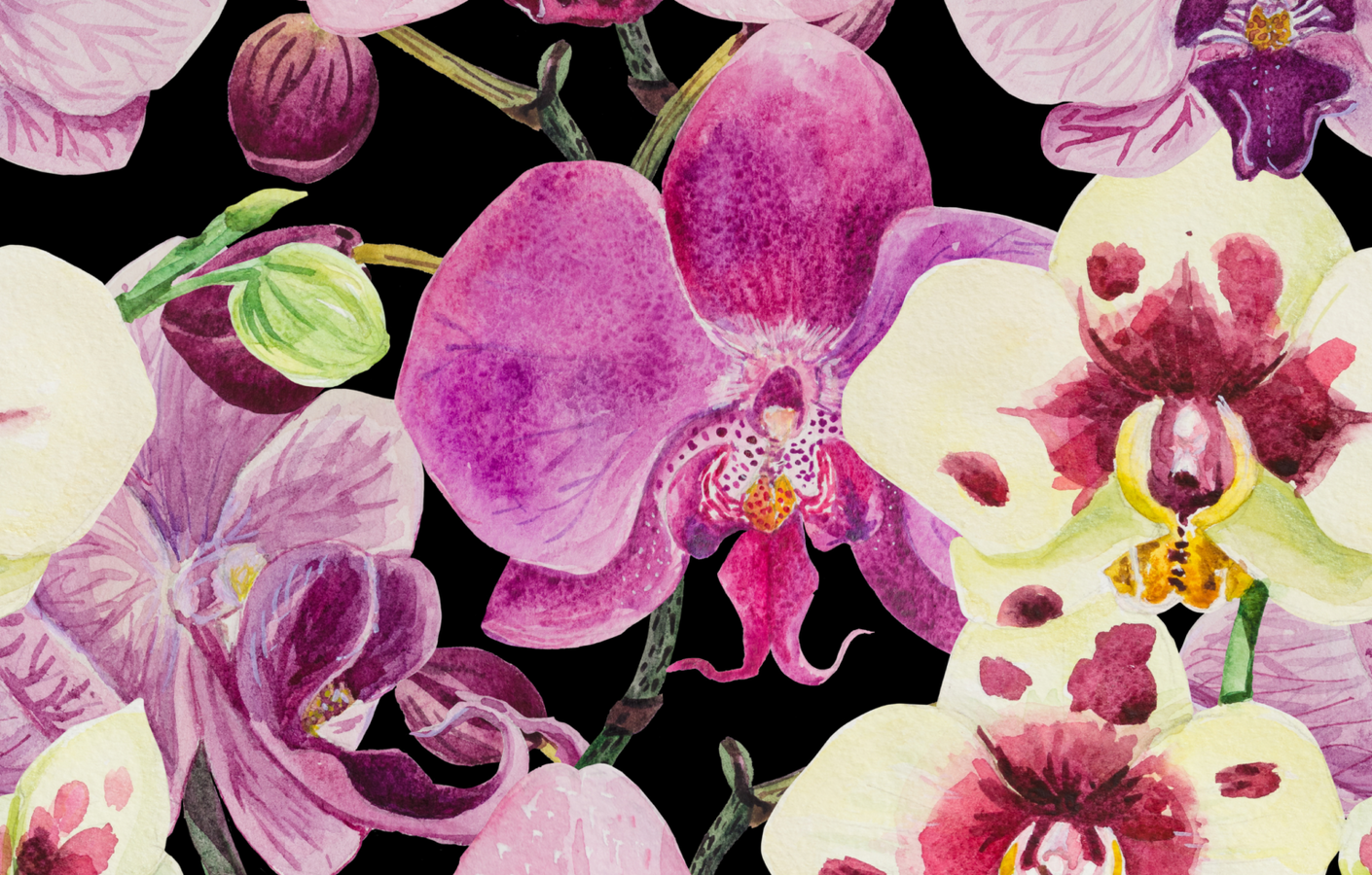 ORCHID PAINTING WITH COASTAL MAKERS