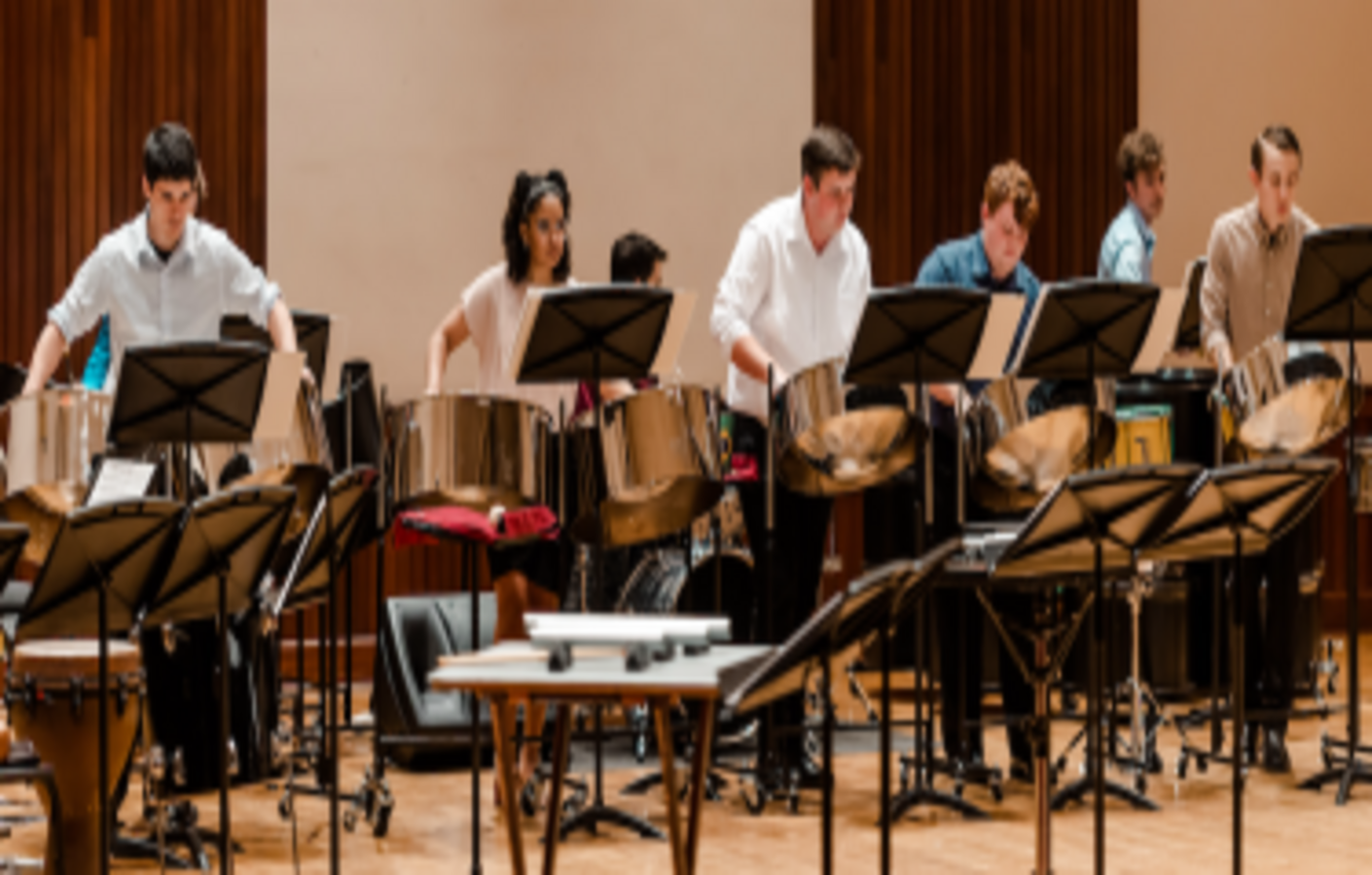 USA PERCUSSION ENSEMBLE & JAGUAR STEEL CONCERT