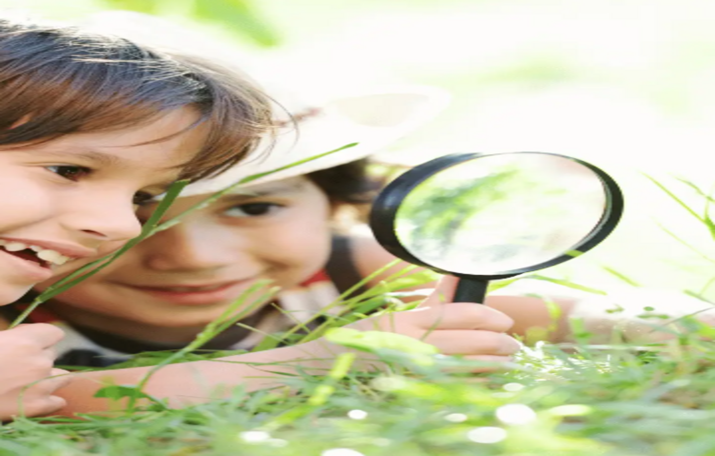 BELLINGRATH GARDENS AND HOMES SUMMER STEM CAMP: BACKYARD DETECTIVE