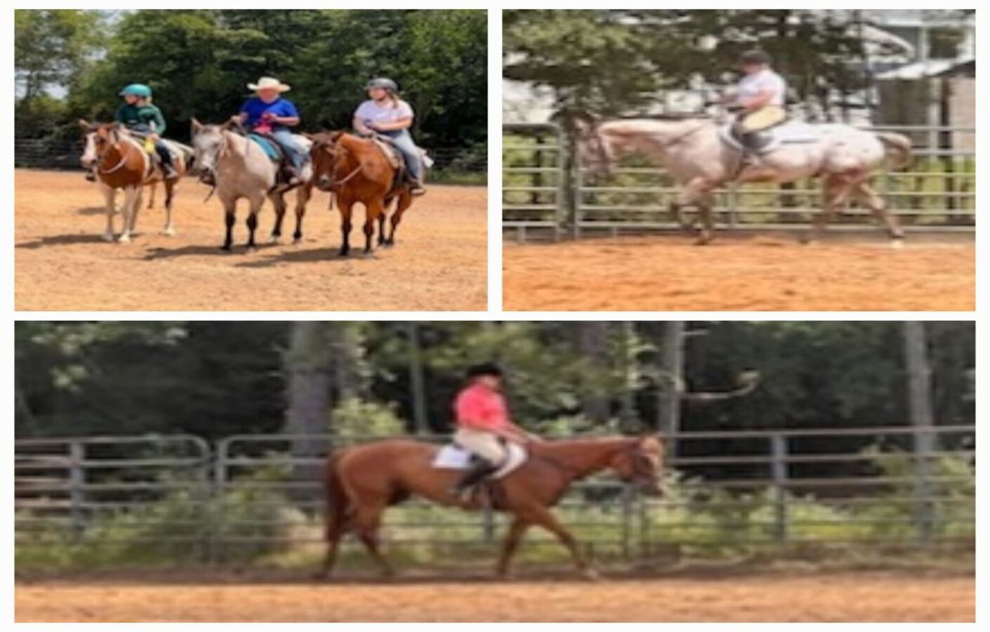 AOHA/COASTAL HORSEMAN’S/PRO-STATE OPEN SHOW