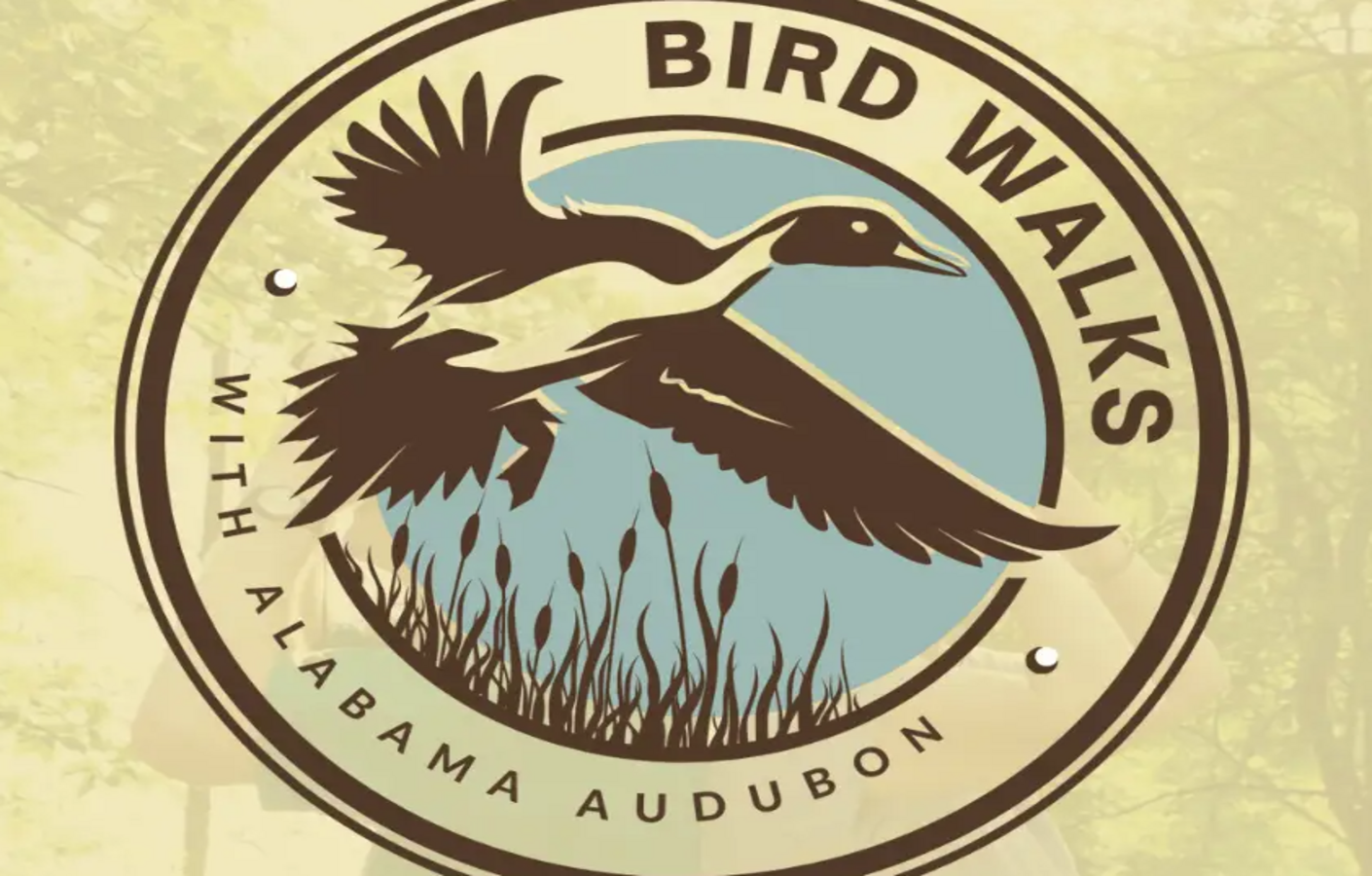 GUIDED BIRD WALK