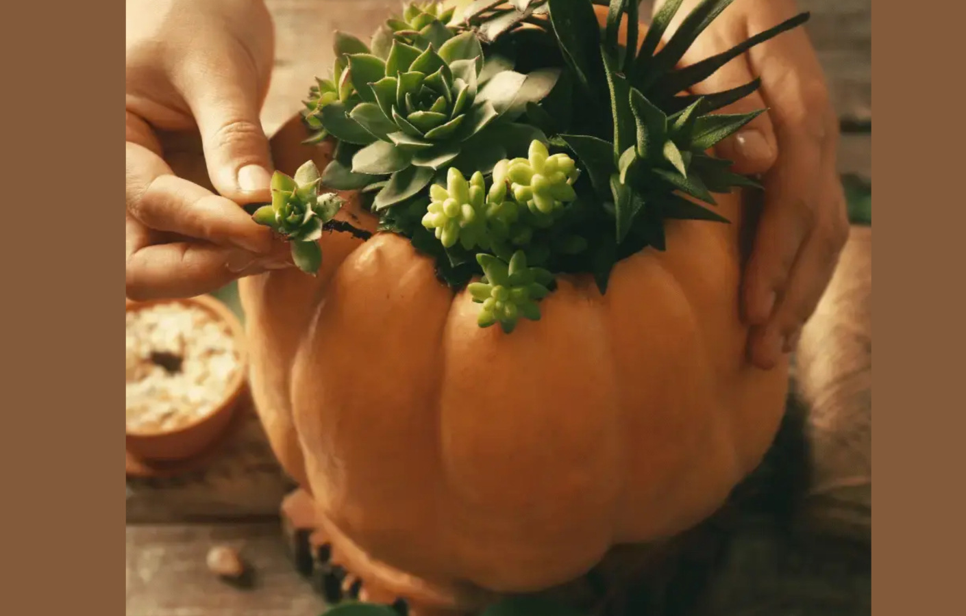 FORAGED AND SUCCULENT PUMPKINS WITH BARBARA SMITH